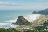 Nature tours from Auckland with Bush and Beach