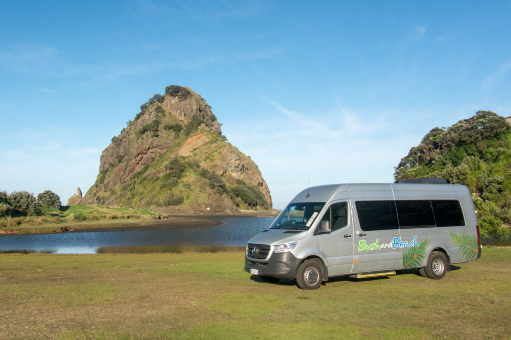 Great press review of our Wilderness Experience Piha tour - Bush and Beach